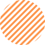 Triatin – Technical company